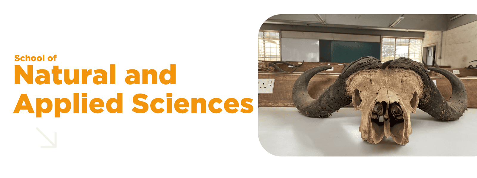 Welcome! | University of Zambia